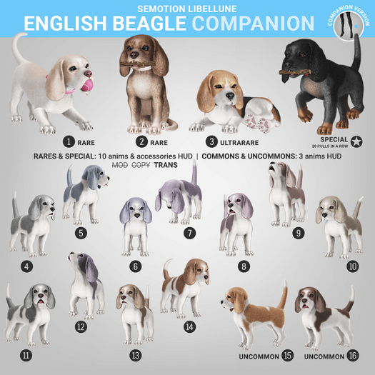 Second Life Marketplace - SEmotion Libellune English Beagle Companion COMMON 11